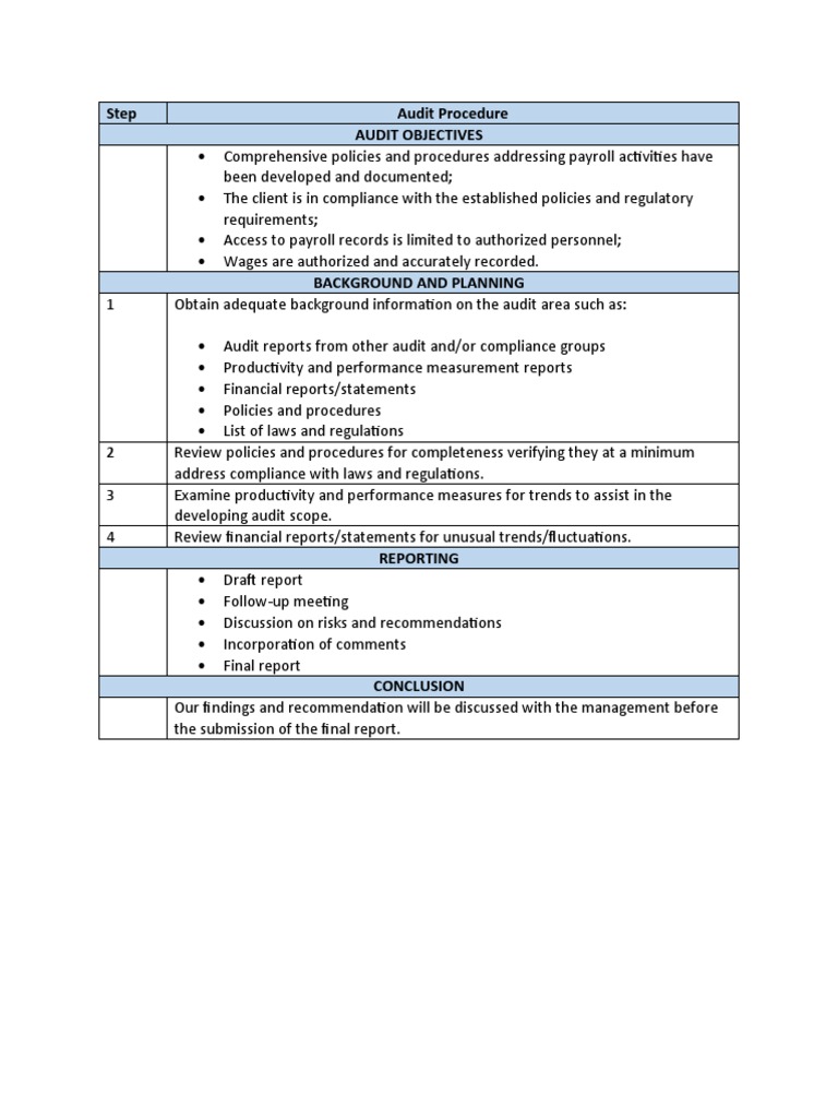 Audit Plan | PDF