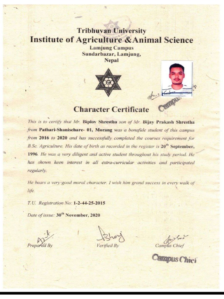 Character Certificate | PDF