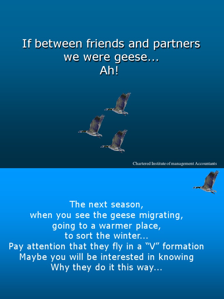 Teamwork - Geese | PDF | Business