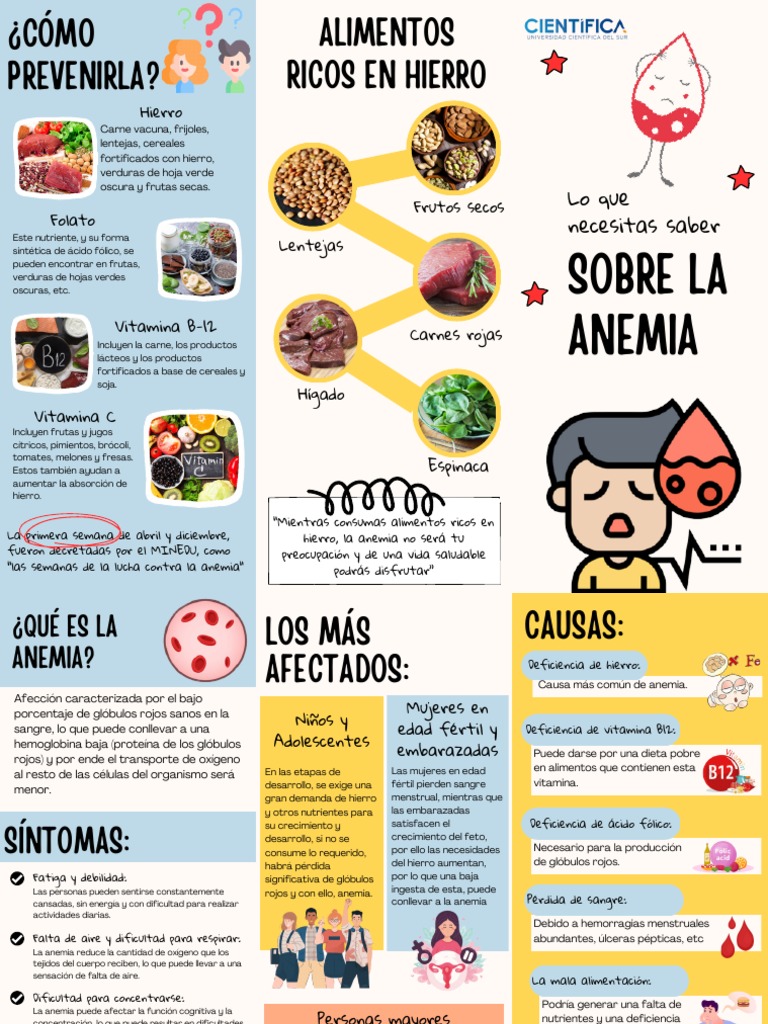 Tríptico Sobre Anemia | PDF | Anemia | Sangre