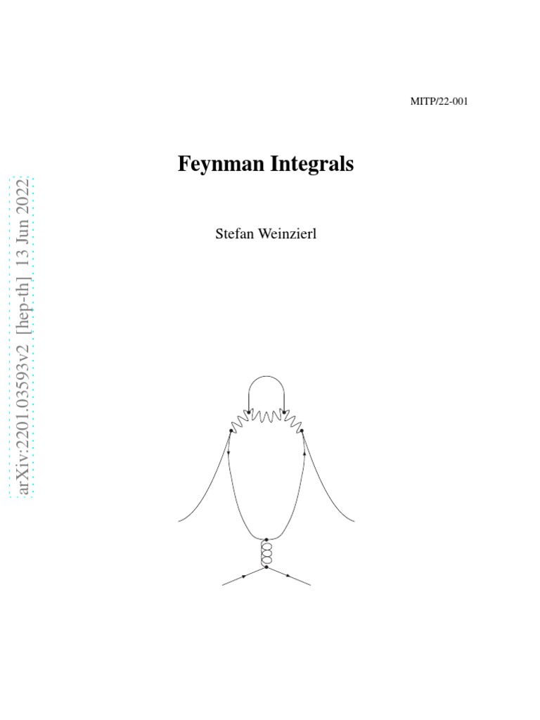 Feynman Integrals: Stefan Weinzierl | PDF | Euclidean Vector | Integral