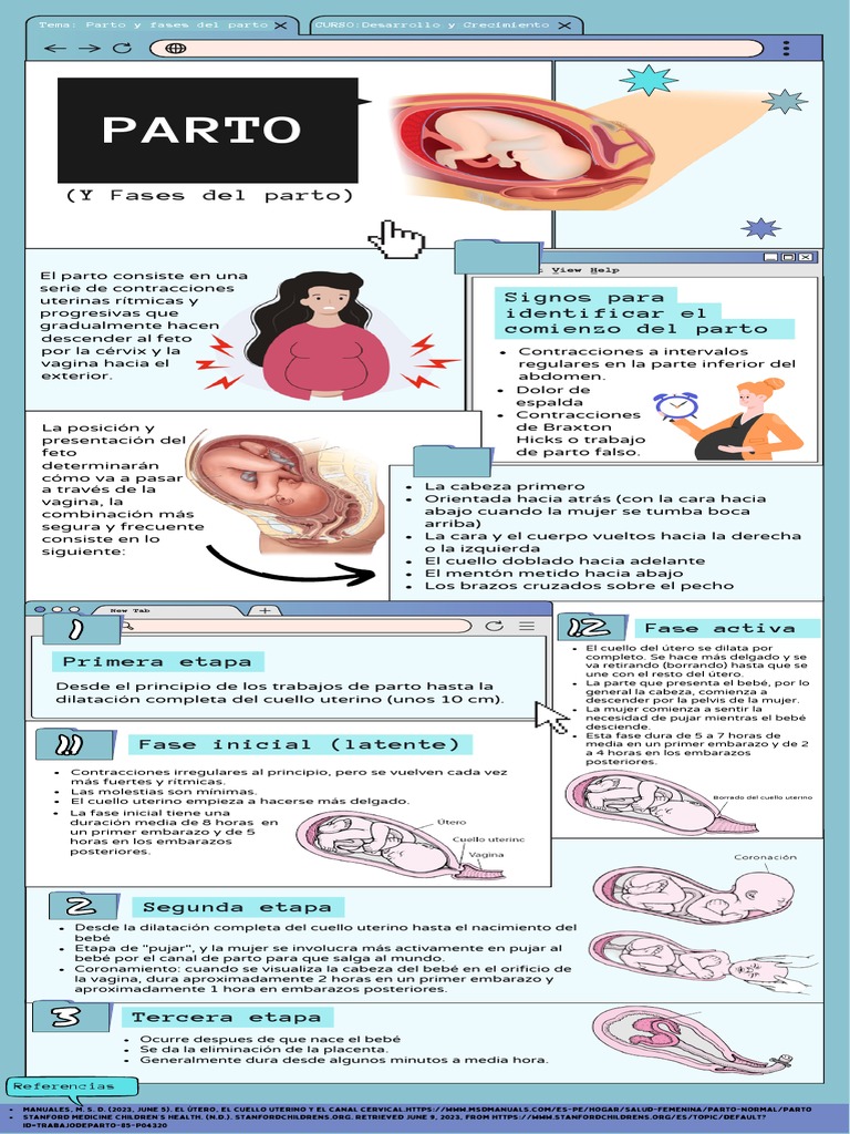 Parto y Fases Del Parto | PDF | Parto | Anatomía
