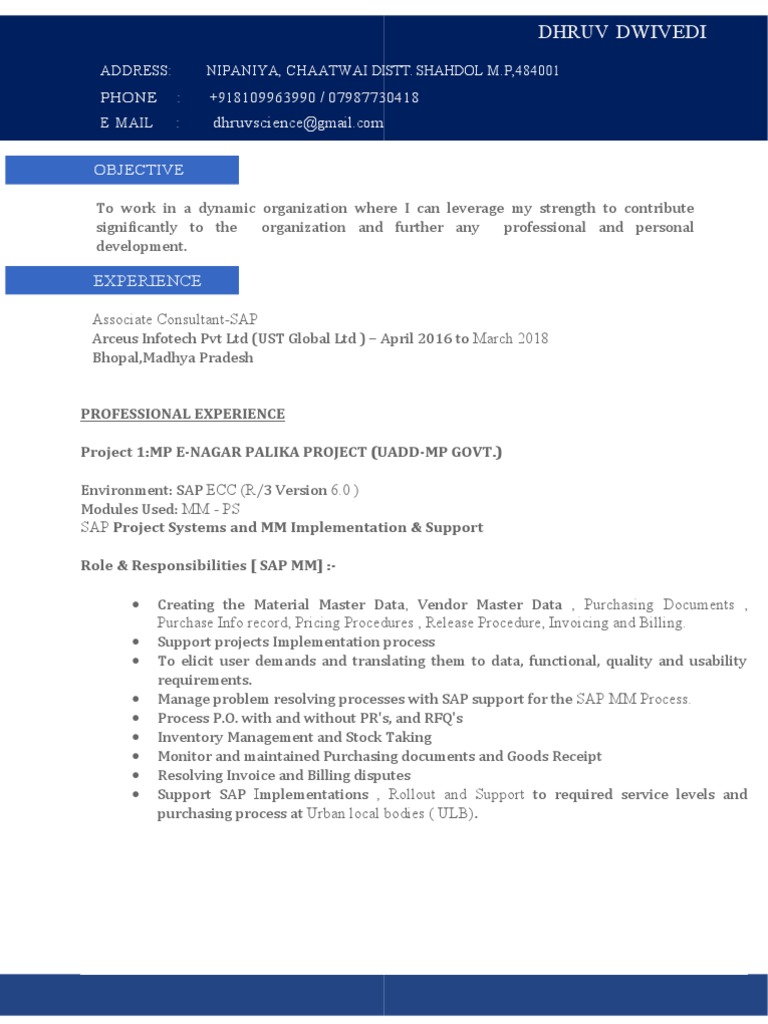 Dhruv Sap CV | PDF | Power Station | Computing