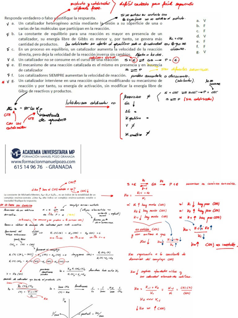 Ejercicios 11 Varios Examen | PDF