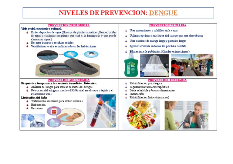 Práctica de N°03-Niveles de Prevención | PDF | Salud y bienestar