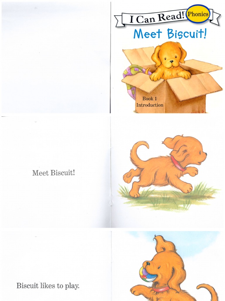 Book 1 - Introduction Meet Biscuit | PDF
