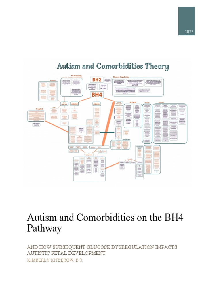 Updated ASD and Comorbidities | PDF | Nitric Oxide Synthase | Autism ...