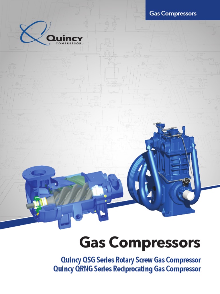 Natural Gas QSG Brochure Updated Pages | PDF | Pump | Valve