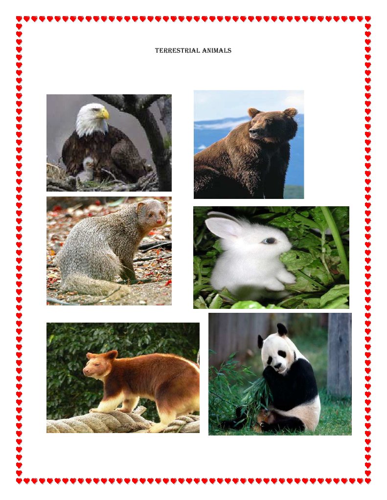 Terrestrial Animals | PDF