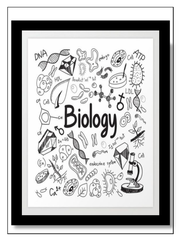 Utsav Pdf Caffeine Coffee