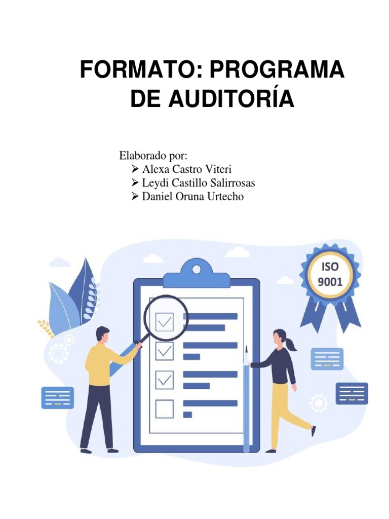 Programa de Auditoria | PDF | Auditoría | Calidad (comercial)