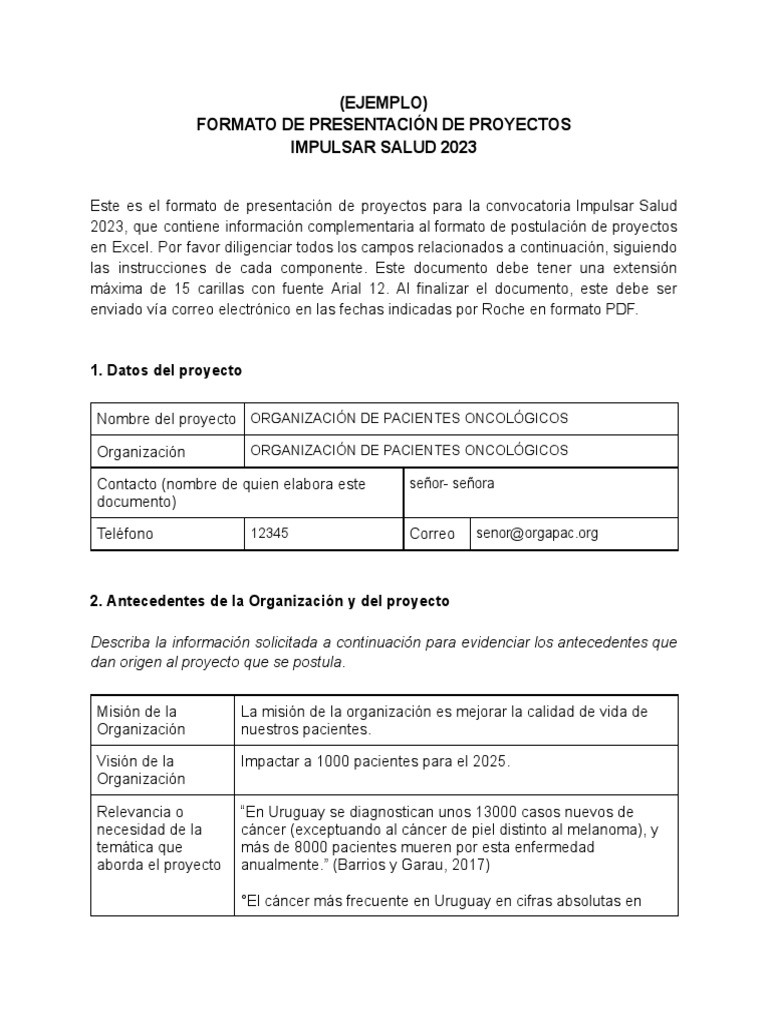 Ejemplo Formato de Presentacion Proyectos Impulsar Salud 2023 ...