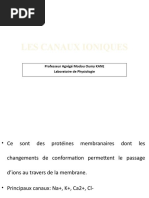 Guide Clinique de l'Intertrigo | PDF | Candida | Dermatite