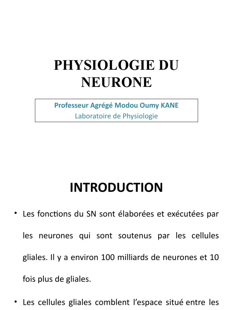 2 Physiologie Du Neurone 1 | PDF | Synapse | Neurone