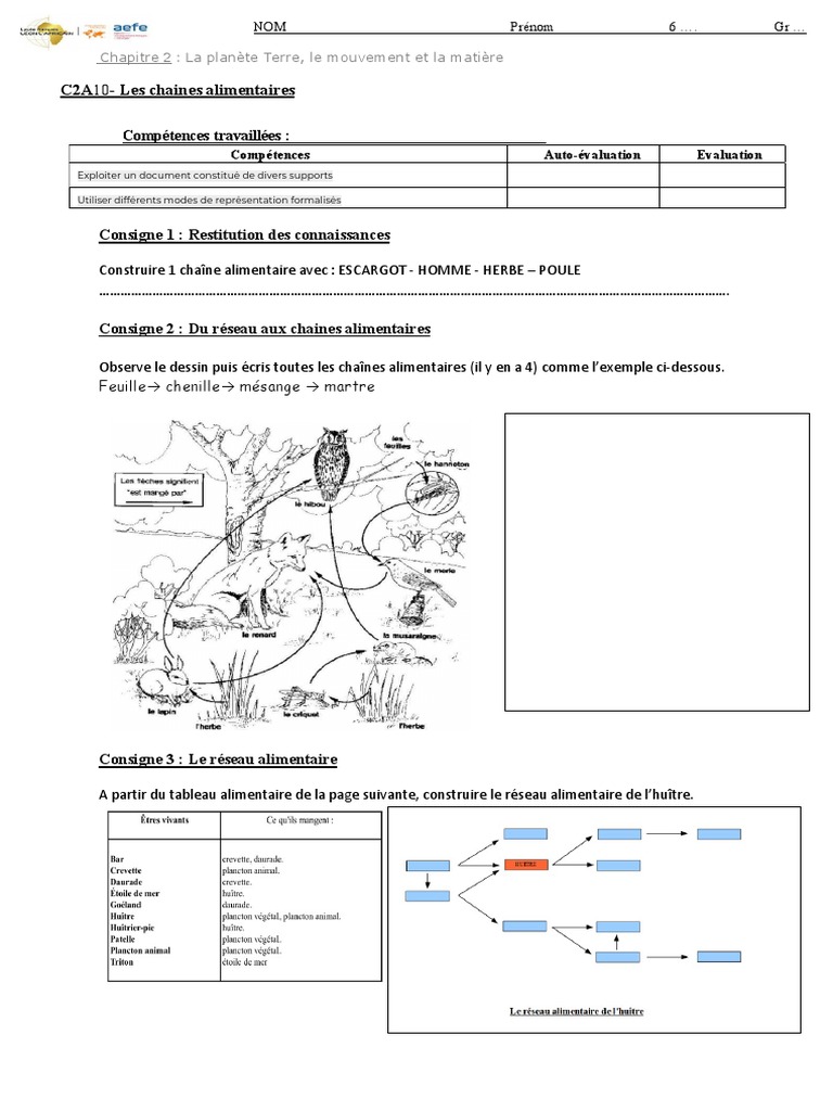 Réseau Alimentaire Avec étiquettes