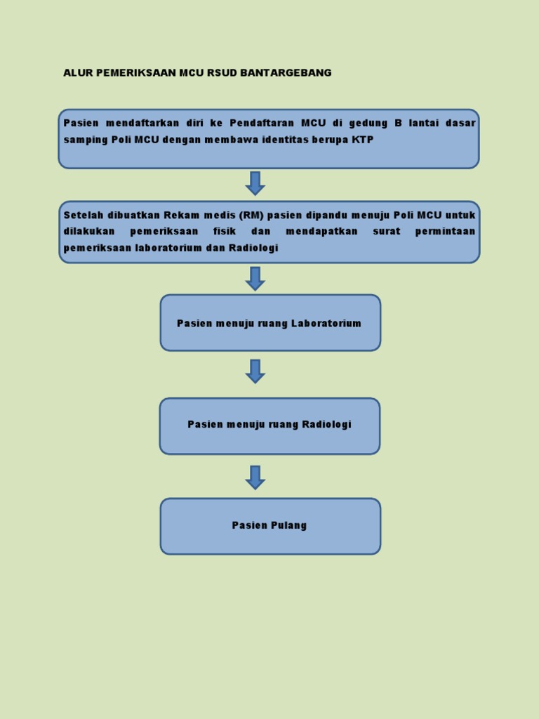 Alur Pemeriksaan Mcu Rsud Bantargebang | PDF