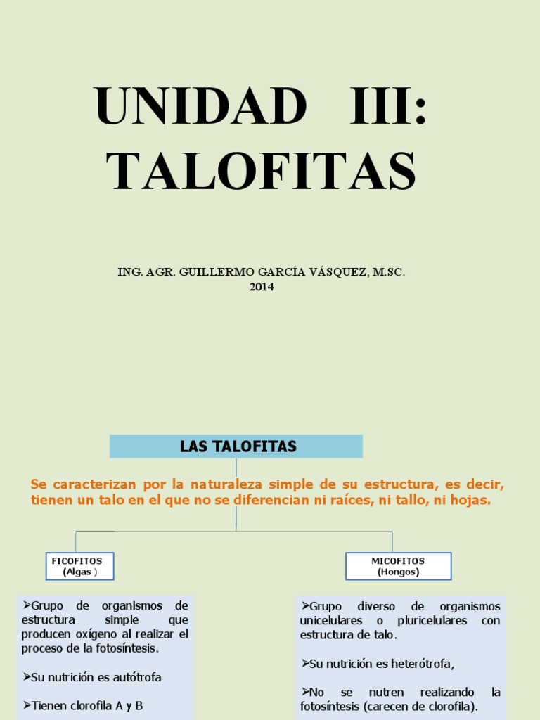 U 3 - TALOFITAS | PDF | Algas | Cianobacterias
