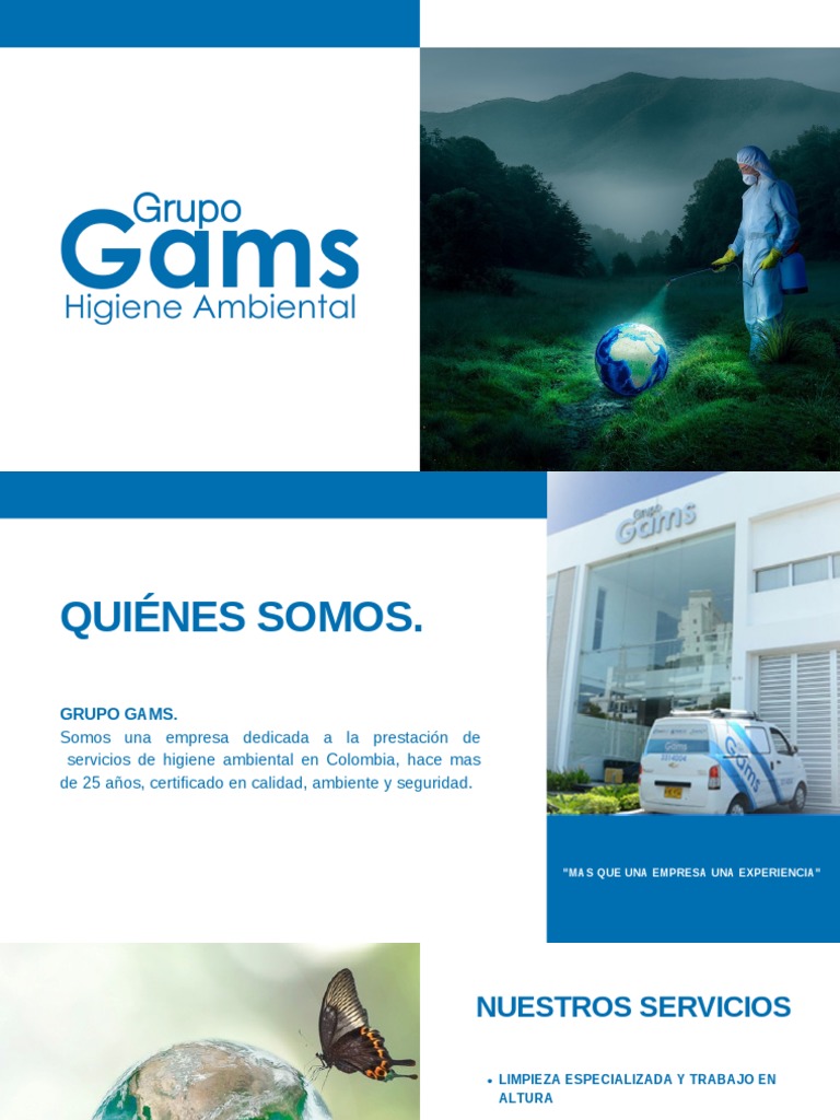 Presentacion Gams | PDF