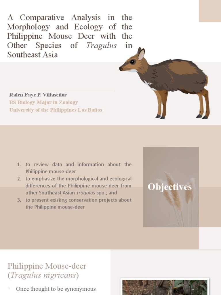 A Comparative Analysis in The Morphology and Ecology of The Philippine ...