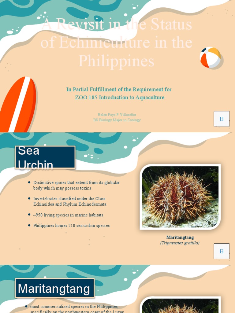 Case Study Presentation - Sea Urchin | PDF | Oceanography | Marine Biology