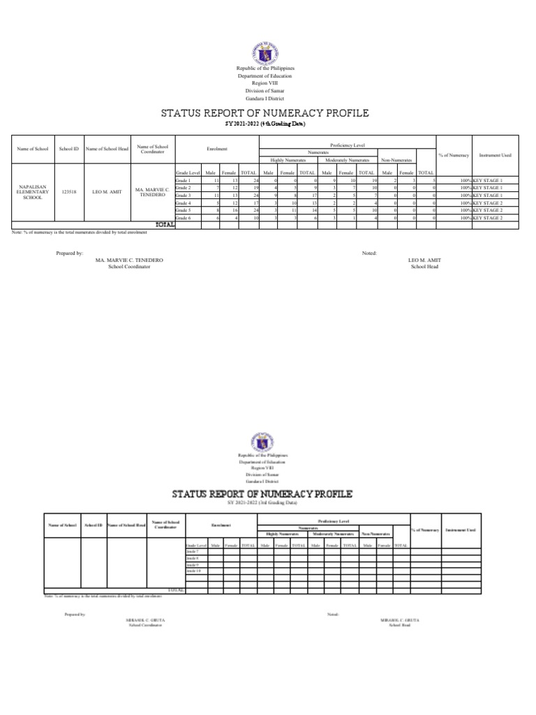 Status Report of Numeracy Profile NAPALISAN ES 123518 Q4 | PDF