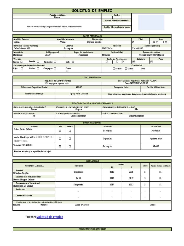 Formato Solicitud de Empleo Word | PDF