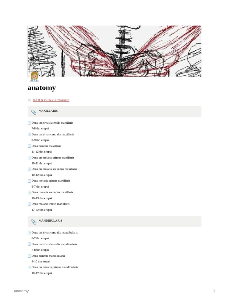 Anatomy | PDF