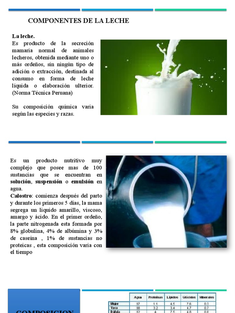 Componentes de La Leche | PDF | Leche | Nutrición