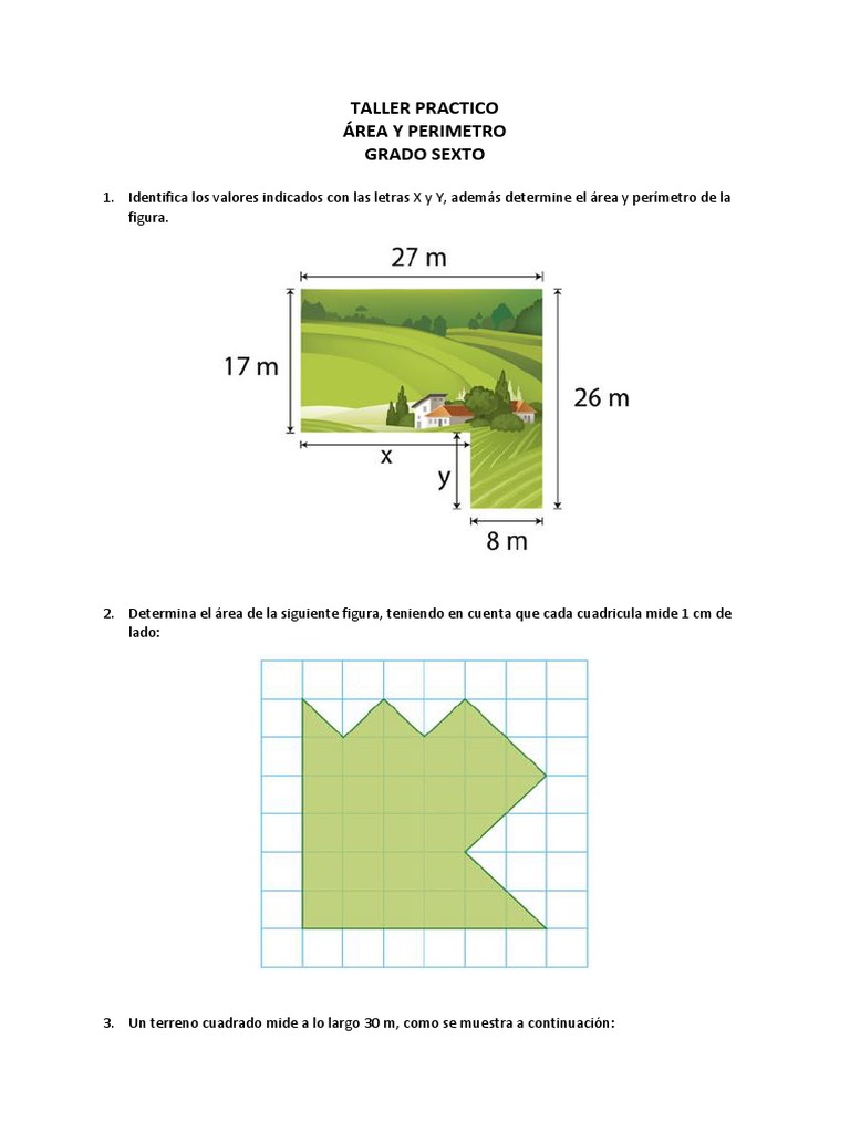 Practica Area y Perimetro 6 | PDF | Deportes y actividades al aire libre