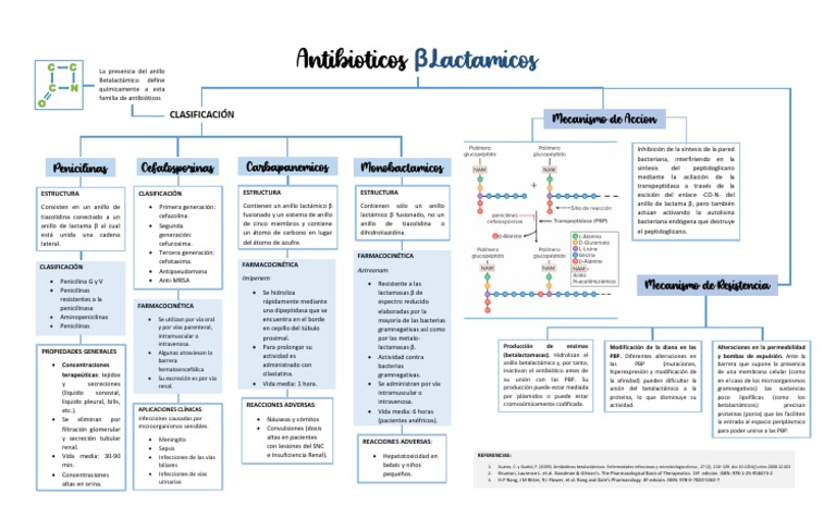 Antibióticos β-Lactámicos: Estructura y Aplicaciones | PDF | Penicilina | Antibióticos