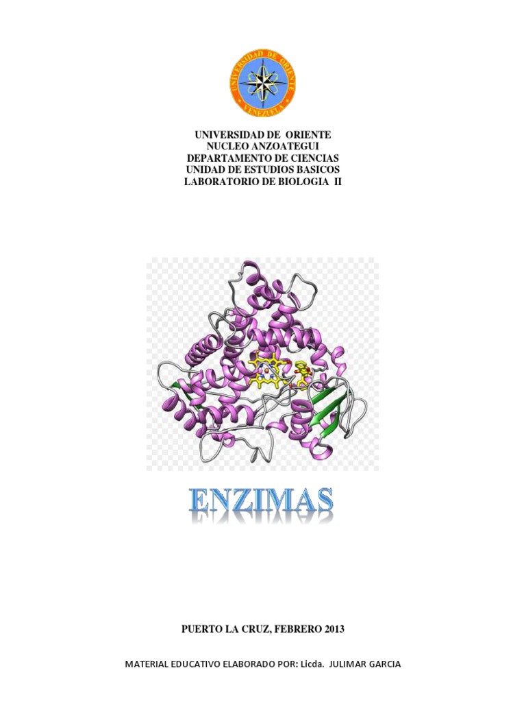 ENZIMAS | PDF