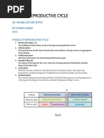 Reproductive System Practical Report | PDF | Menstrual Cycle | Testicle