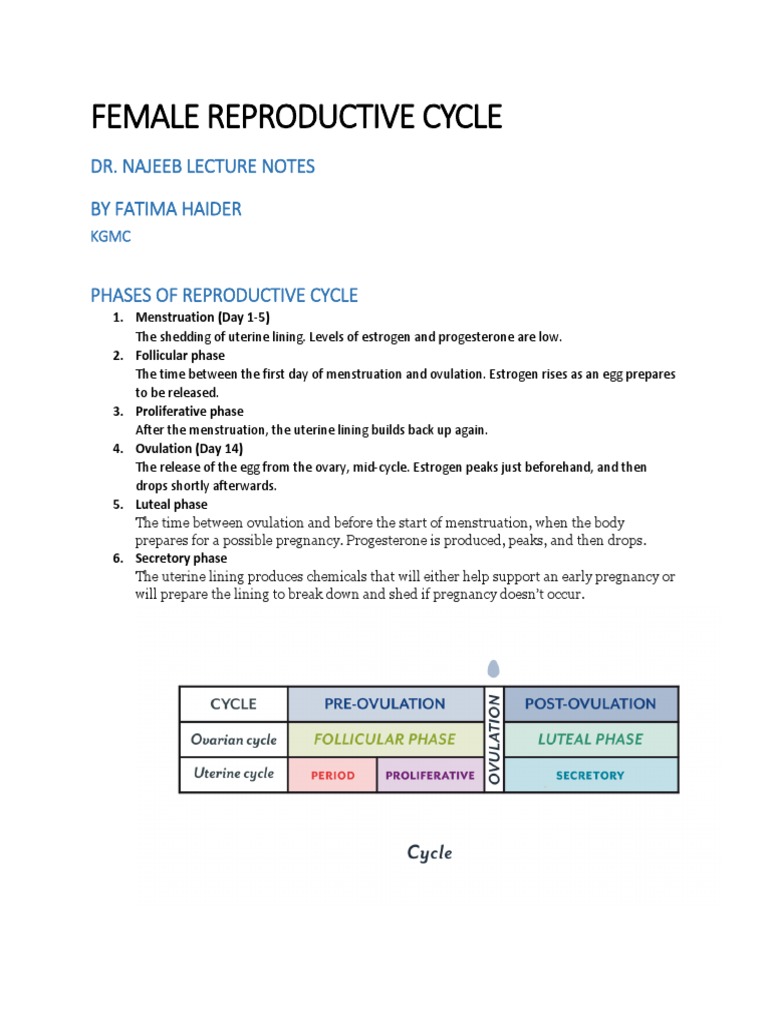 Understanding the Female Reproductive Cycle | PDF | Menstrual Cycle ...