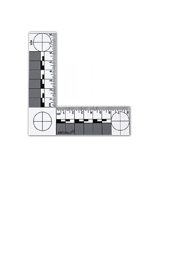 Testigo Metrico Y Ficha Dactilar | PDF