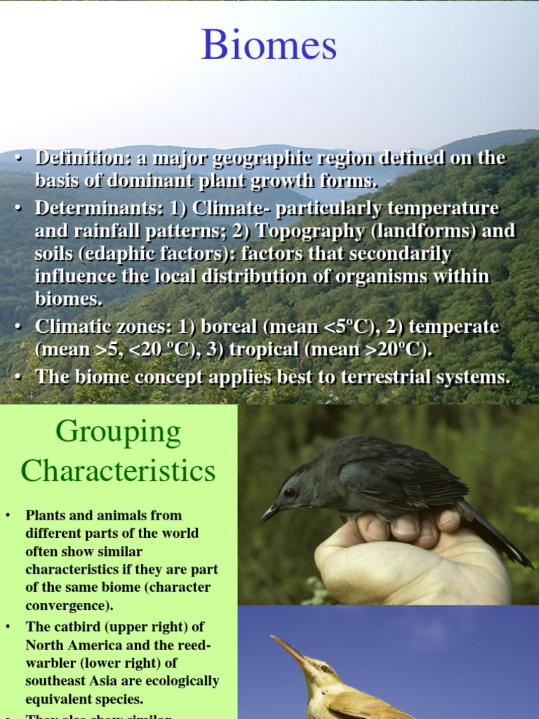 Biomes: - Definition: A Major Geographic Region Defined On The ...