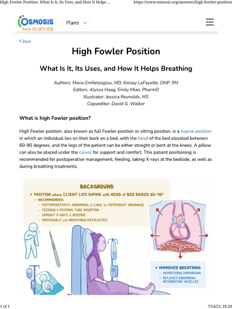 High Fowler Position - What Is It, Its Uses, and How It Helps Breathing - Osmosis | PDF