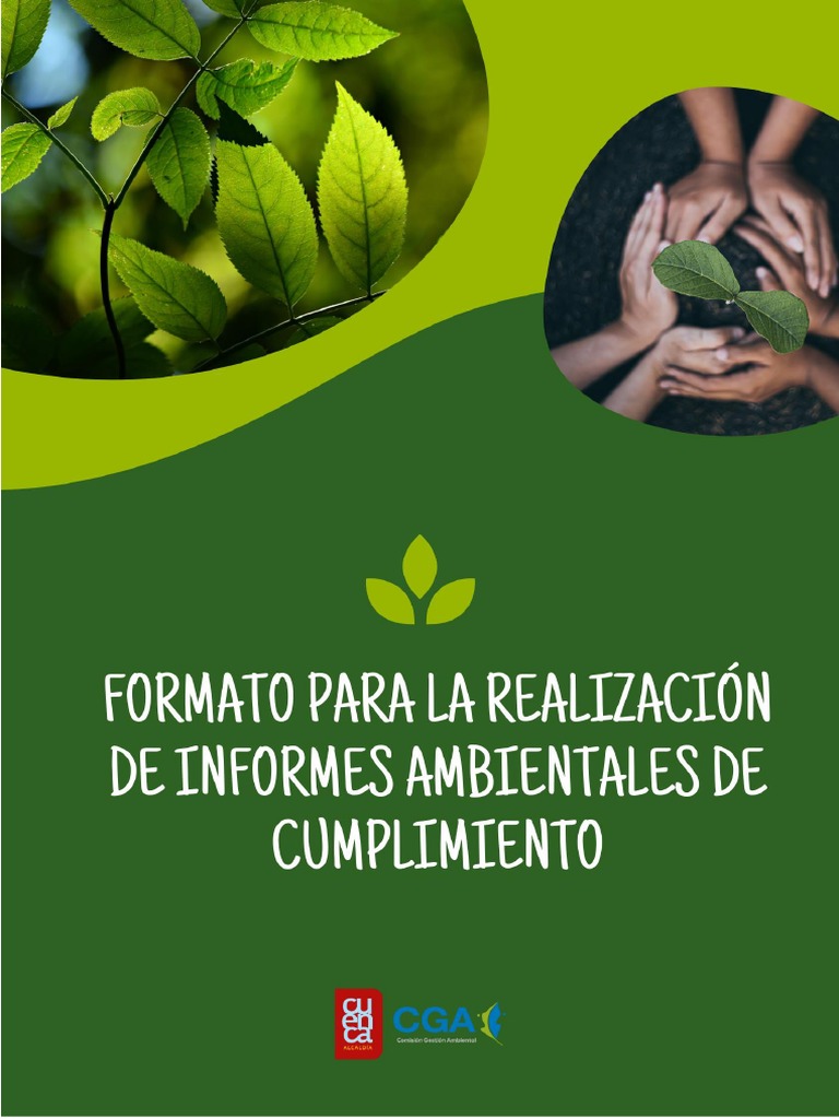Formato para La Realizacion de Informes Ambientales de Cumplimiento ...