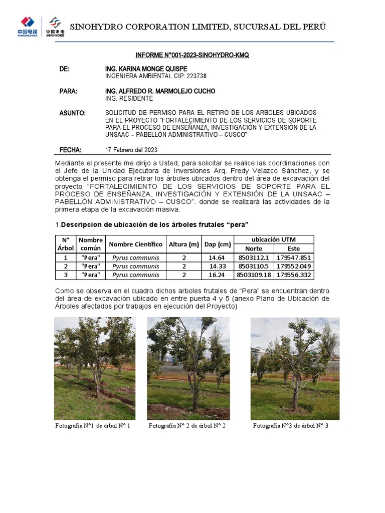 Informe N 01 KMQ | PDF | Arboles | Entorno natural