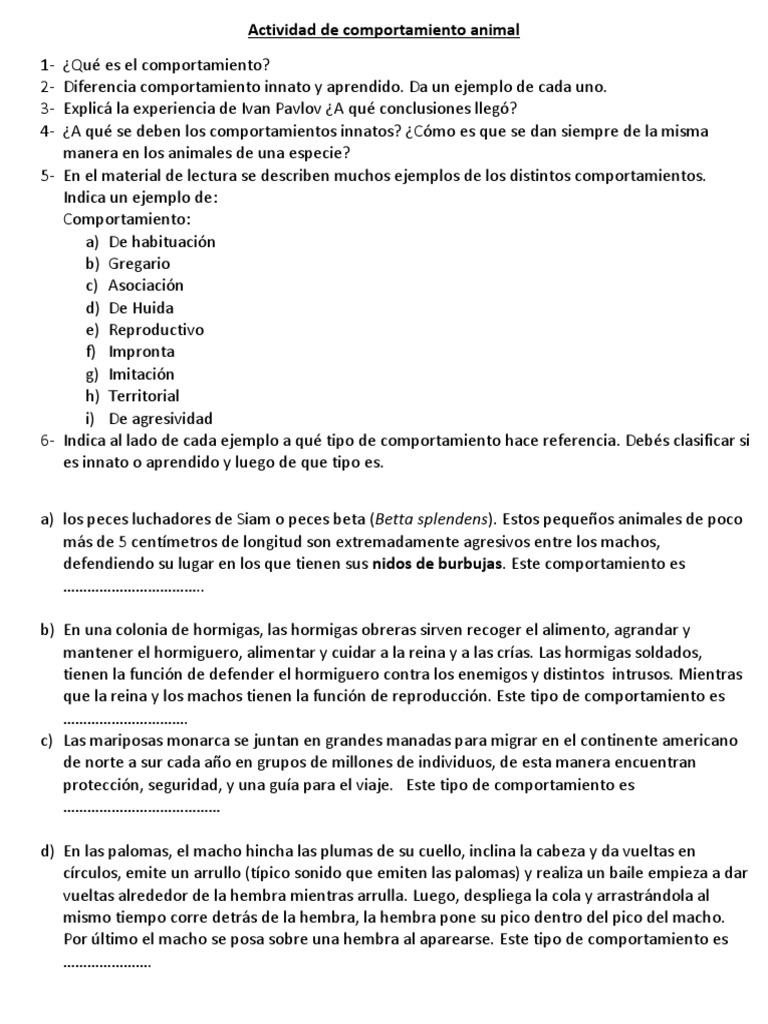 Actividad de Comportamiento Animal | PDF | Hormiga | Aves