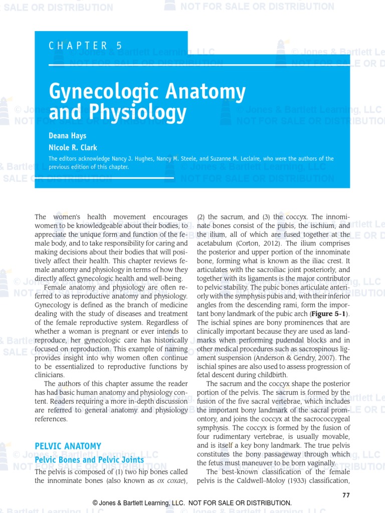 Anatomy and Phsio | PDF | Pelvis | Labia