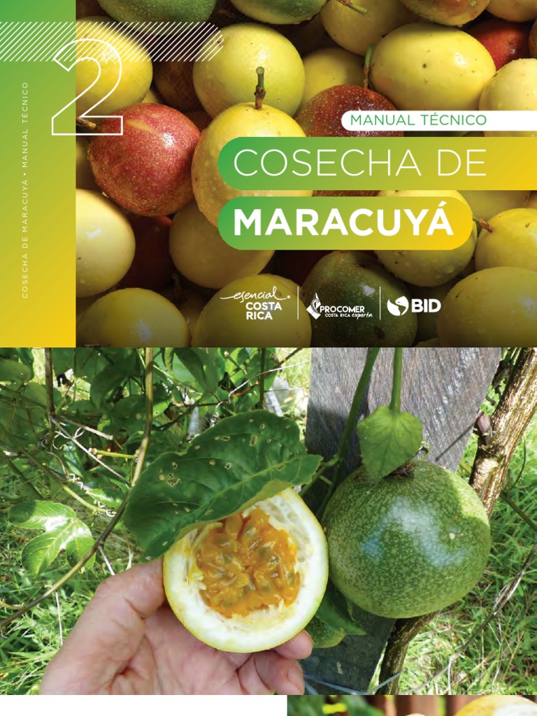 Manual de Cosecha Maracuyá | PDF | Fruta | Cosecha