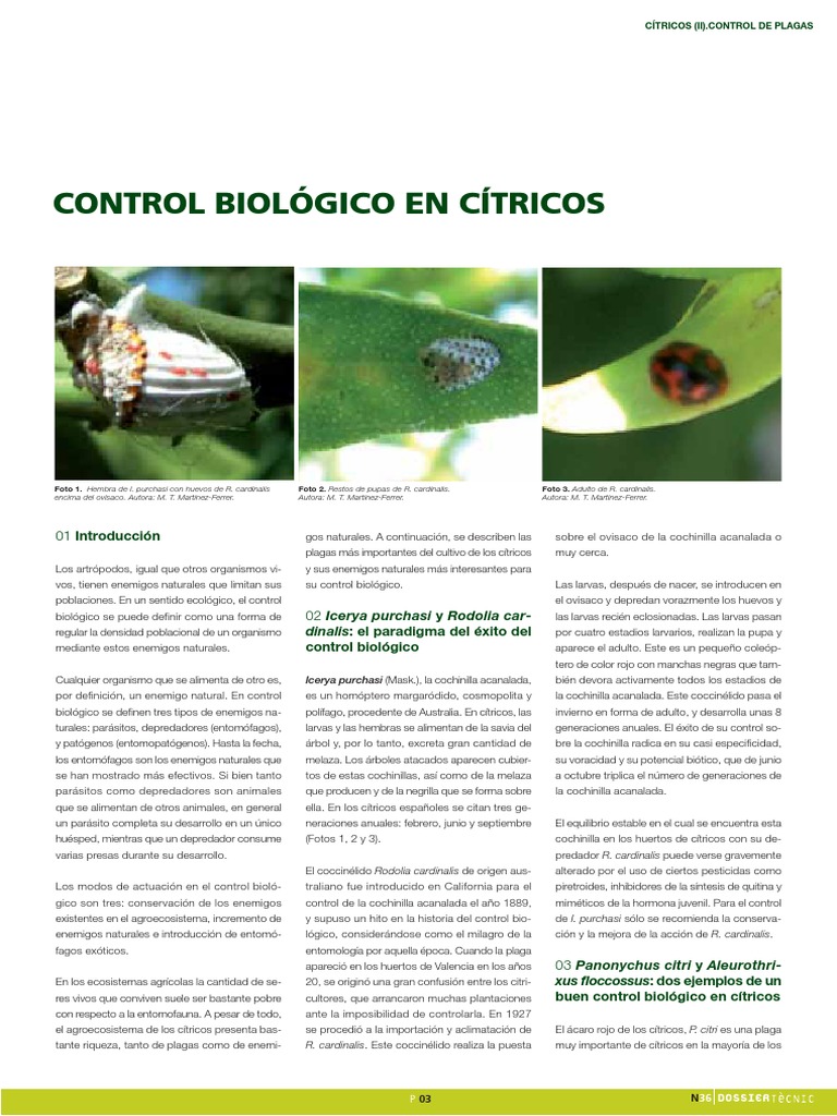 Control Biológico de Plagas en Cítricos | PDF | Control biológico de ...