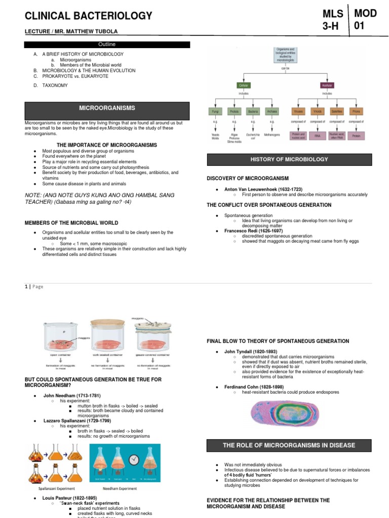 Bacte Lec Mod.1 Transcript | PDF | Microorganism | Cell (Biology)
