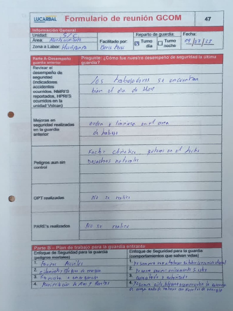 Plan de Seguridad para Guardia GCOM | PDF