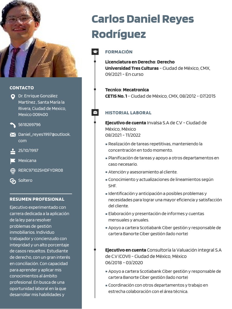 Carlos Daniel Reyes Rodríguez: CV Profesional | PDF | Planificación ...
