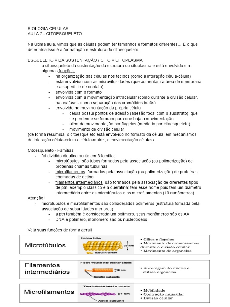 Aula 2 - Biocel | PDF | Citoesqueleto | Microtúbulo
