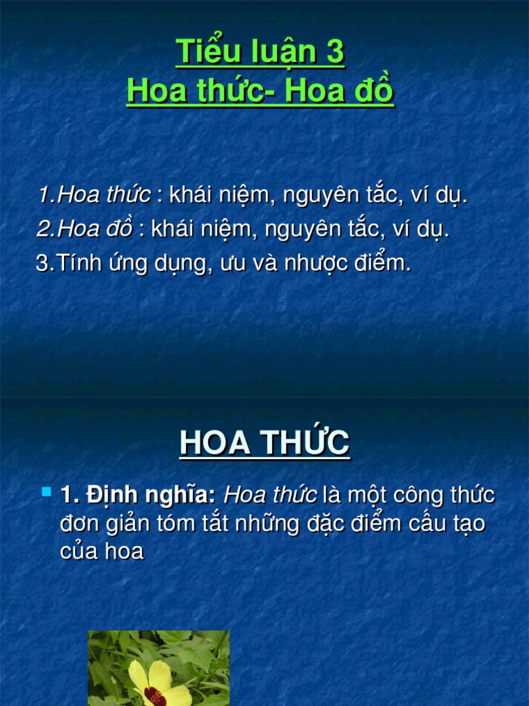 Hoa Thuc Hoa Do 2769 | PDF