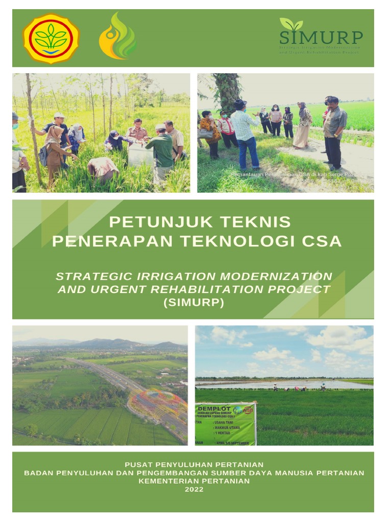 2022 - Juknis Penerapan Csa Simurp | PDF | Sains & Matematika