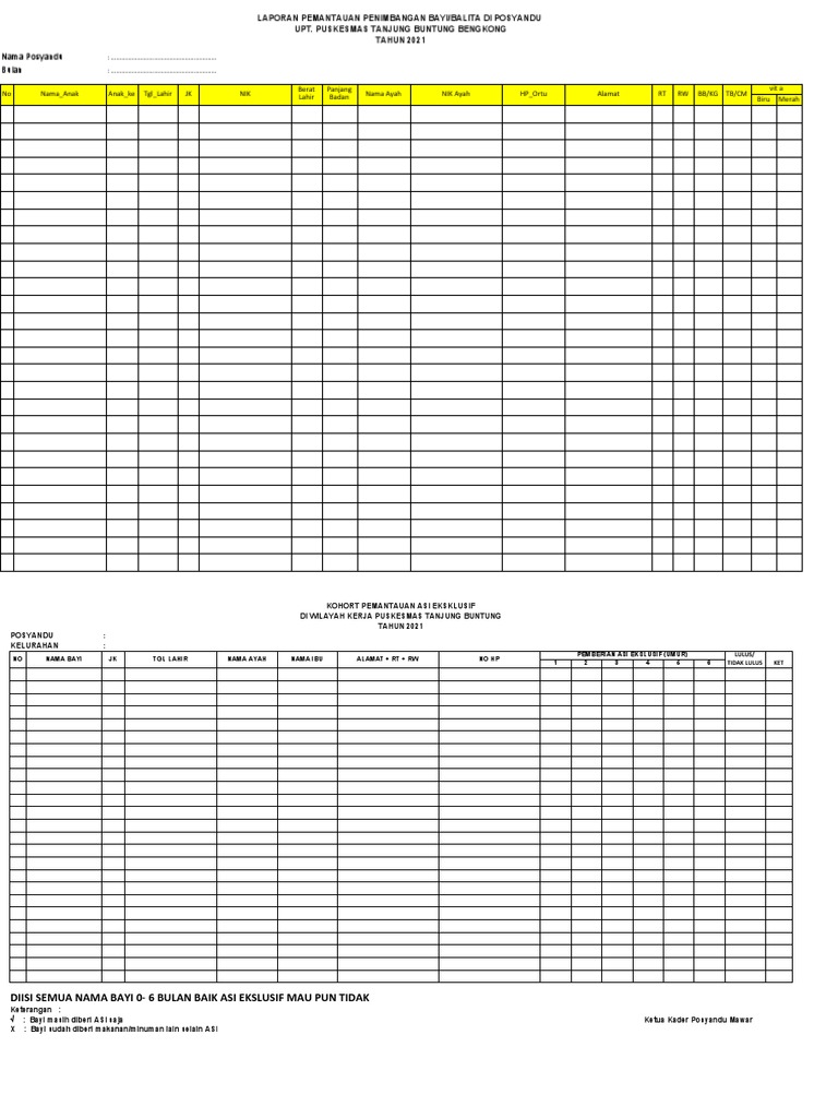 Form Laporan Posyandu | PDF