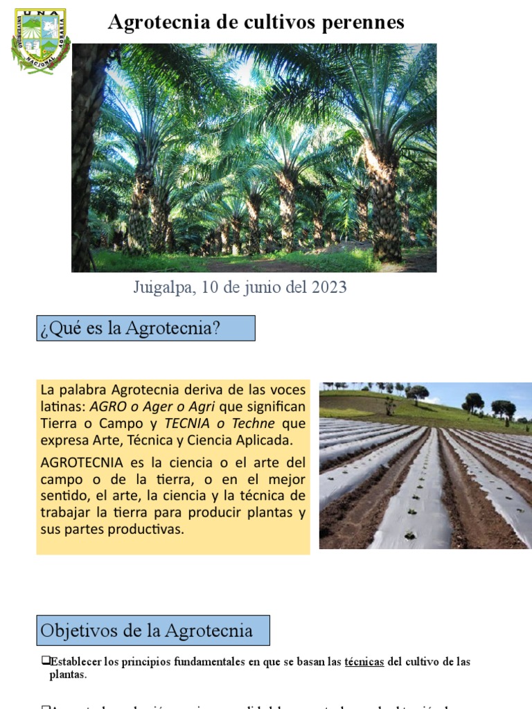 Agrotecnia de Cultivos Perennes | PDF